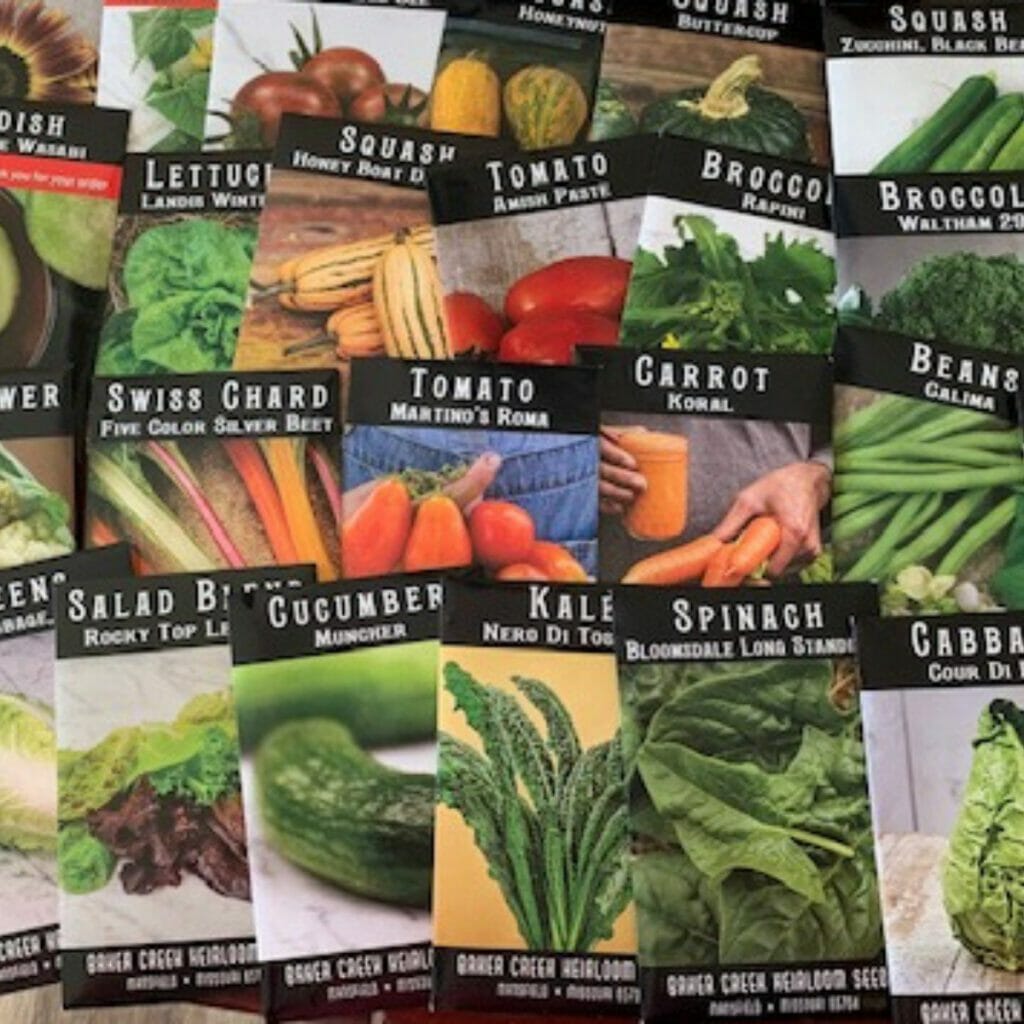 Grow Big on a Budget: How to Set Up a Low-Cost Seed Starting System ...