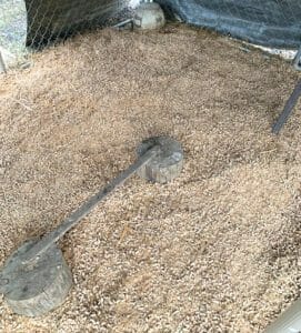 How to fix a muddy chicken run - Dani's Midlife Homestead