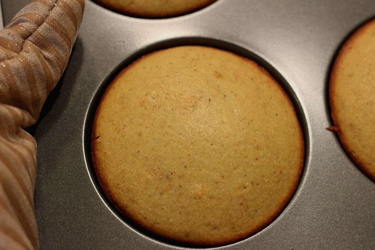 Toaster corn cakes: The perfect breakfast treat - Dani's Midlife Homestead