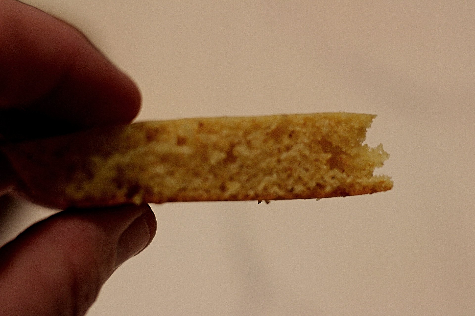 Toaster corn cakes: The perfect breakfast treat - Dani's Midlife Homestead