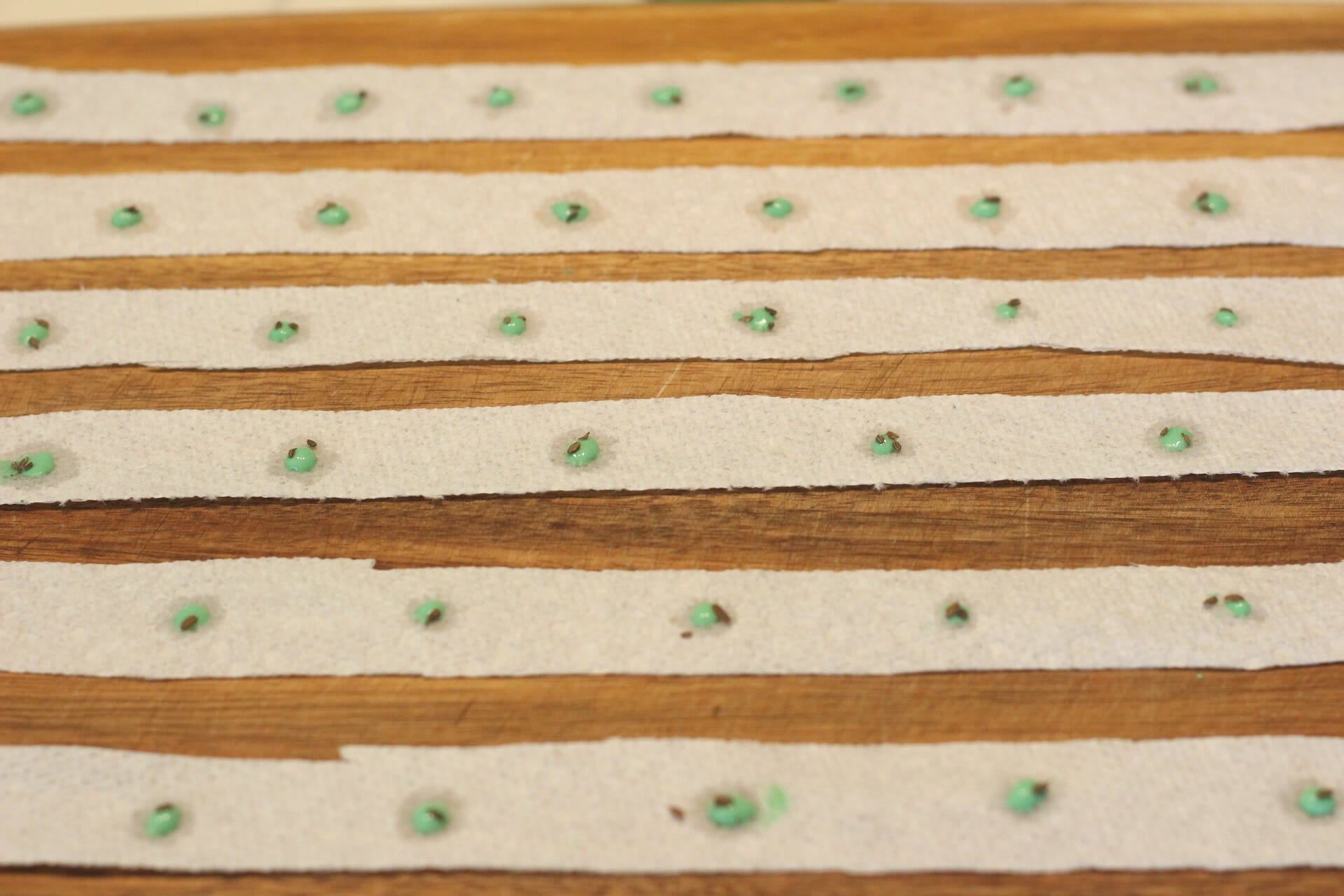How to make homemade seed tapes - Dani's Midlife Homestead
