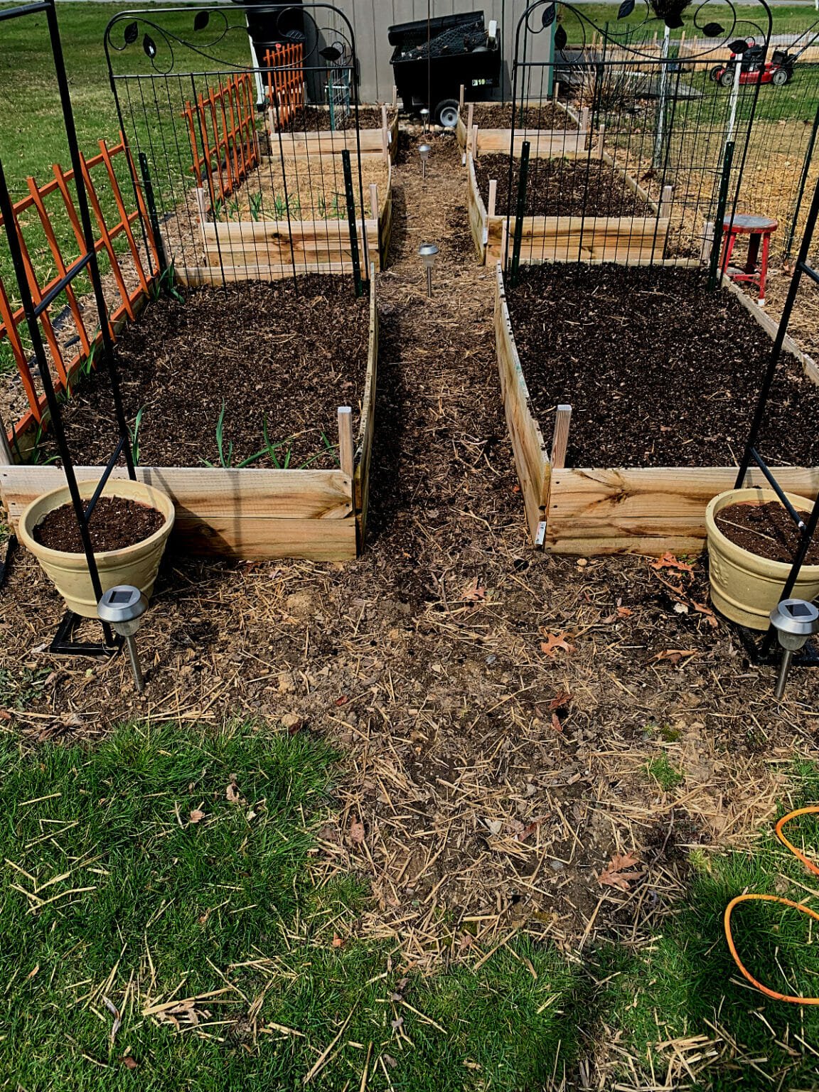 Spring into Action: A guide to preparing your garden for the season ...