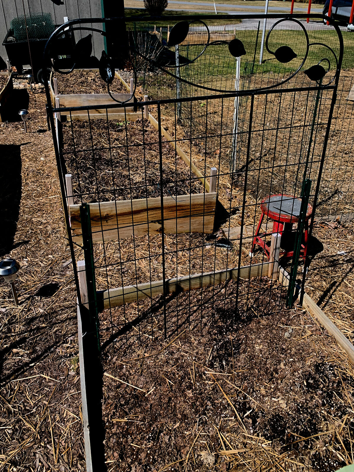 Spring into Action: A guide to preparing your garden for the season ...