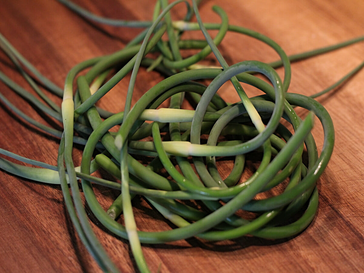 Flavorful and Fresh Garlic Scape Pesto Recipe: A Must-Try Condiment ...