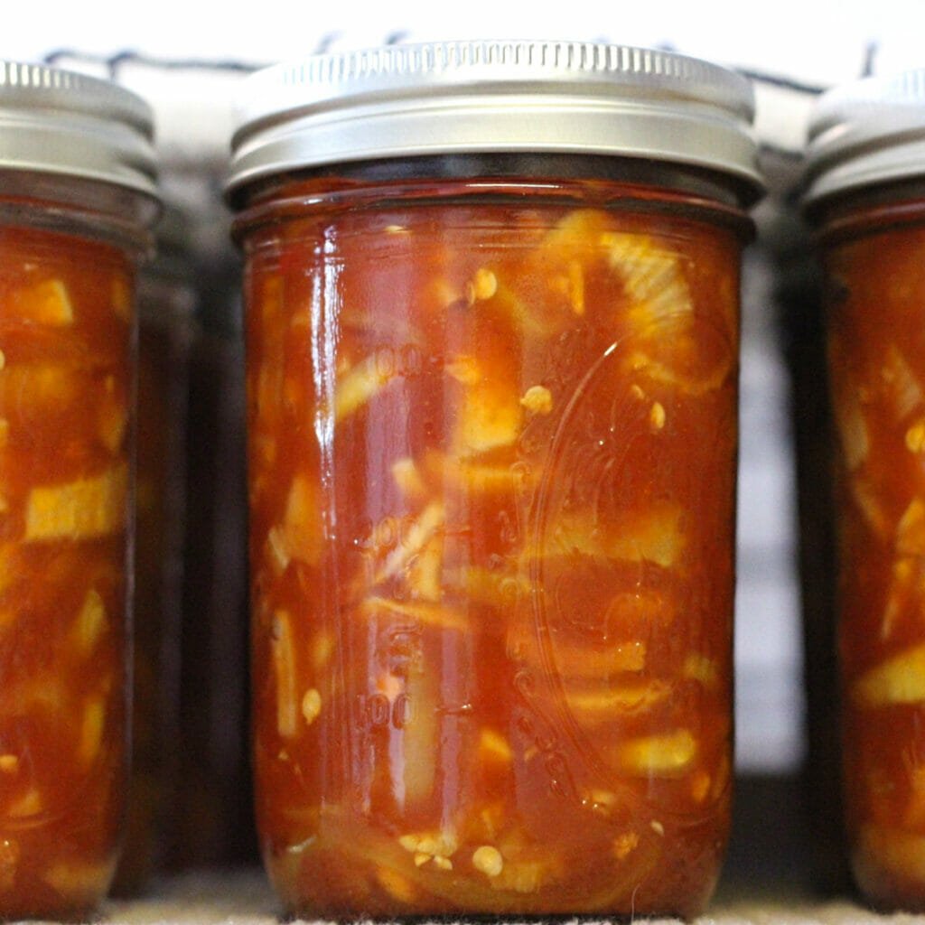 Three Ways to Make Homemade Vanilla Extract - Dani's Midlife Homestead