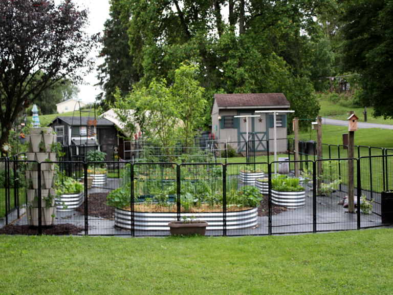 How To Make A New Raised Bed Garden - Dani's Midlife Homestead