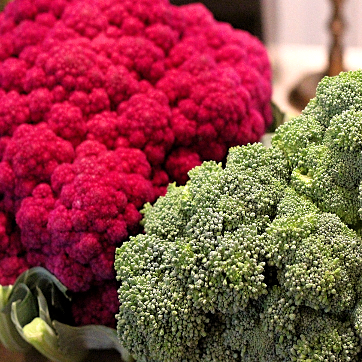Vegetables to plant in July for fall harvest - Dani's Midlife Homestead