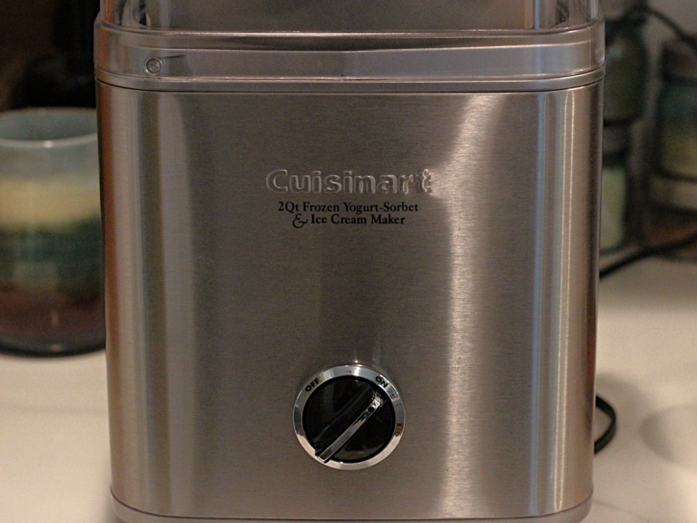 Mint Chocolate Chip Ice Cream - Dani's Midlife Homestead