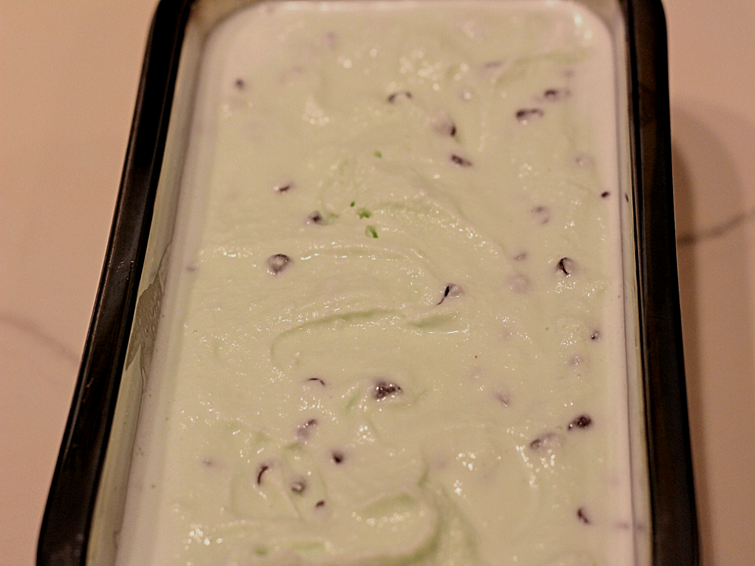 Mint Chocolate Chip Ice Cream - Dani's Midlife Homestead