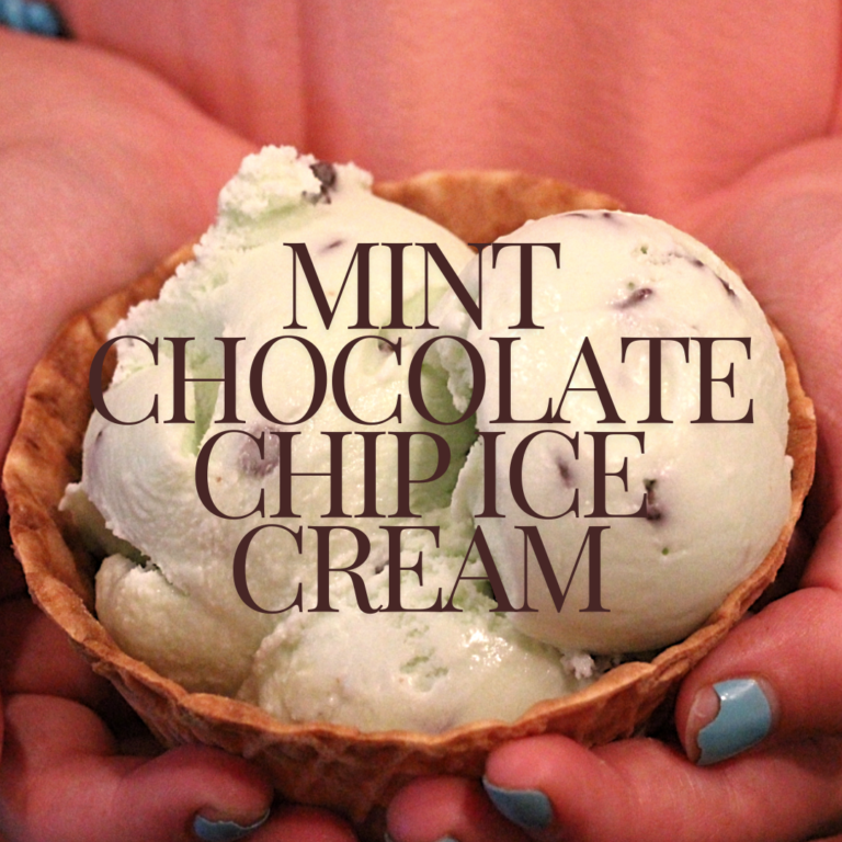 Mint Chocolate Chip Ice Cream - Dani's Midlife Homestead