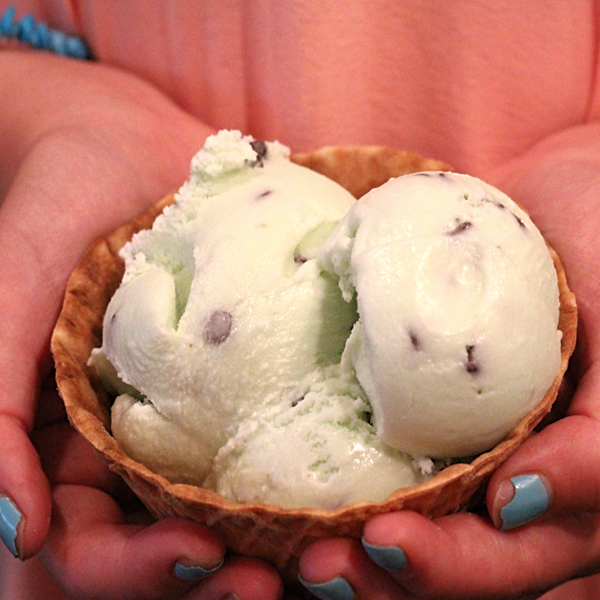 Mint Chocolate Chip Ice Cream - Dani's Midlife Homestead