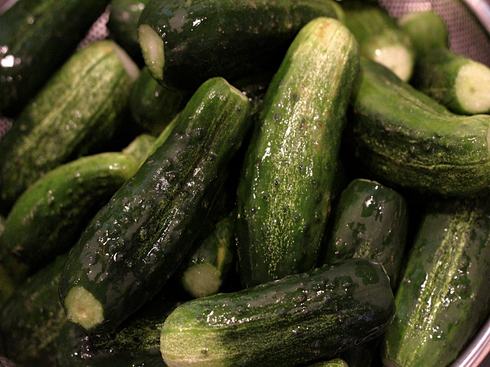 Home-Canned Dill Pickles: A No Water-Bath Approach - Dani's Midlife ...