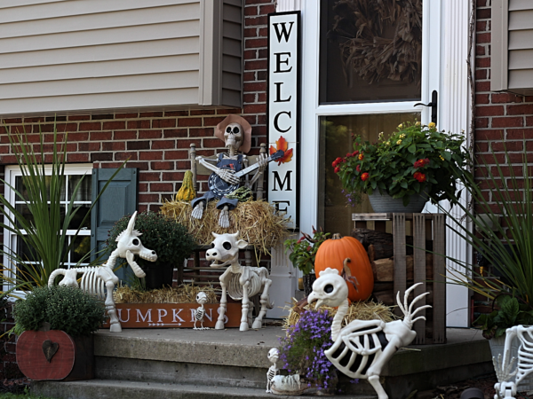 Spooky Outdoor Vibes: Decorate for Fall with Skeletons - Dani's Midlife ...