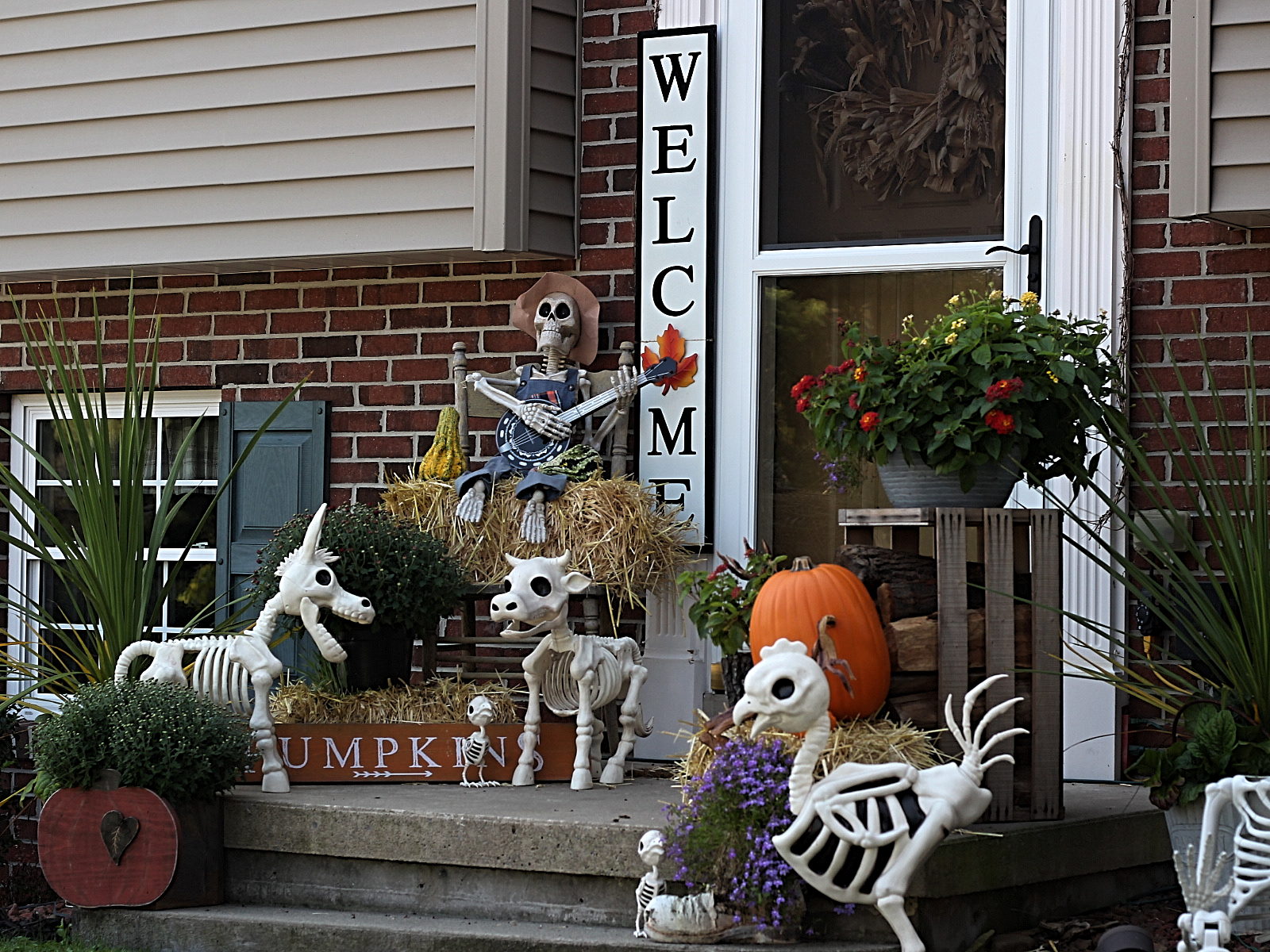 Spooky Outdoor Vibes: Decorate for Fall with Skeletons - Dani's Midlife ...
