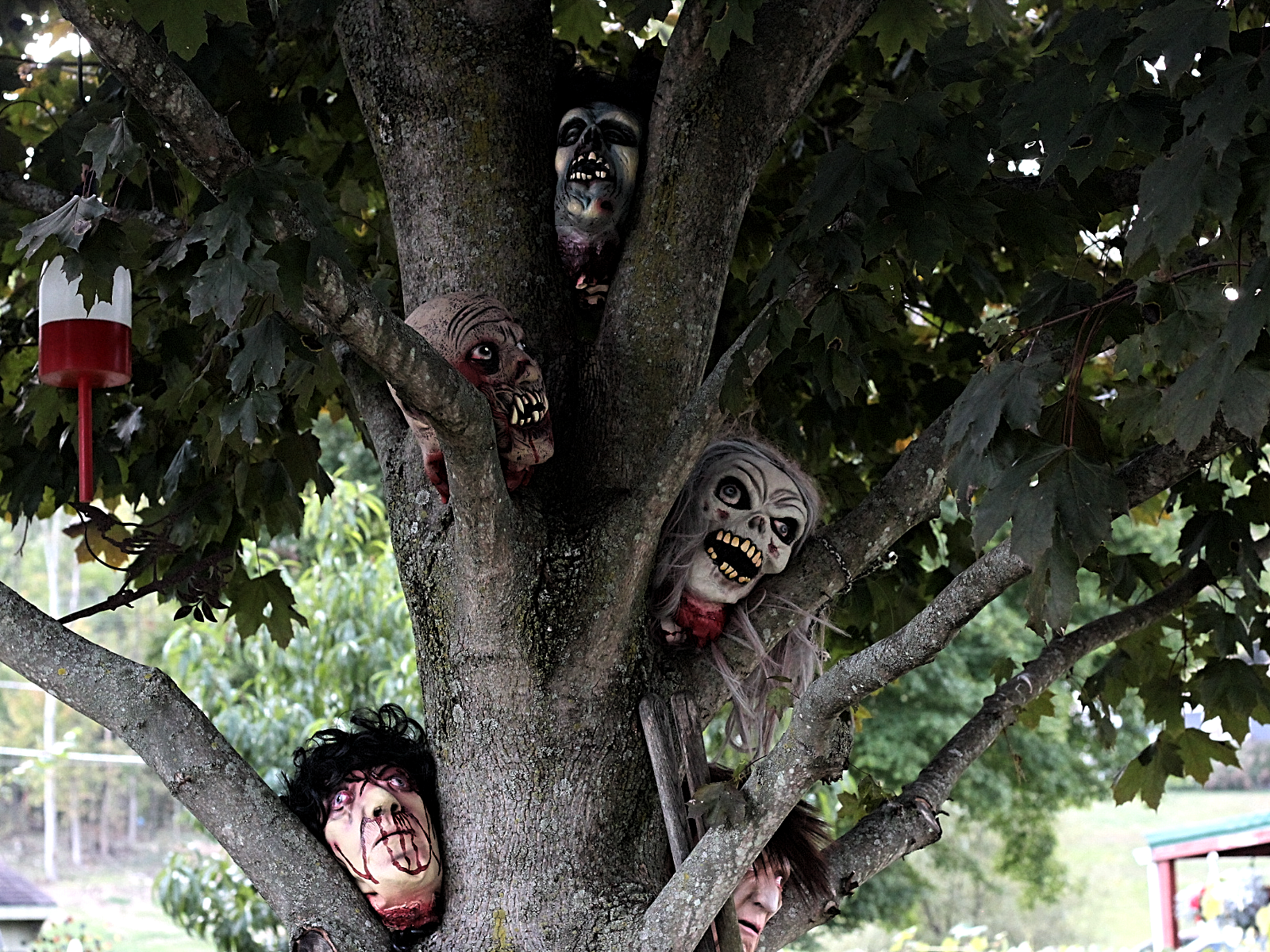 Spooky Outdoor Vibes: Decorate for Fall with Skeletons - Dani's Midlife ...