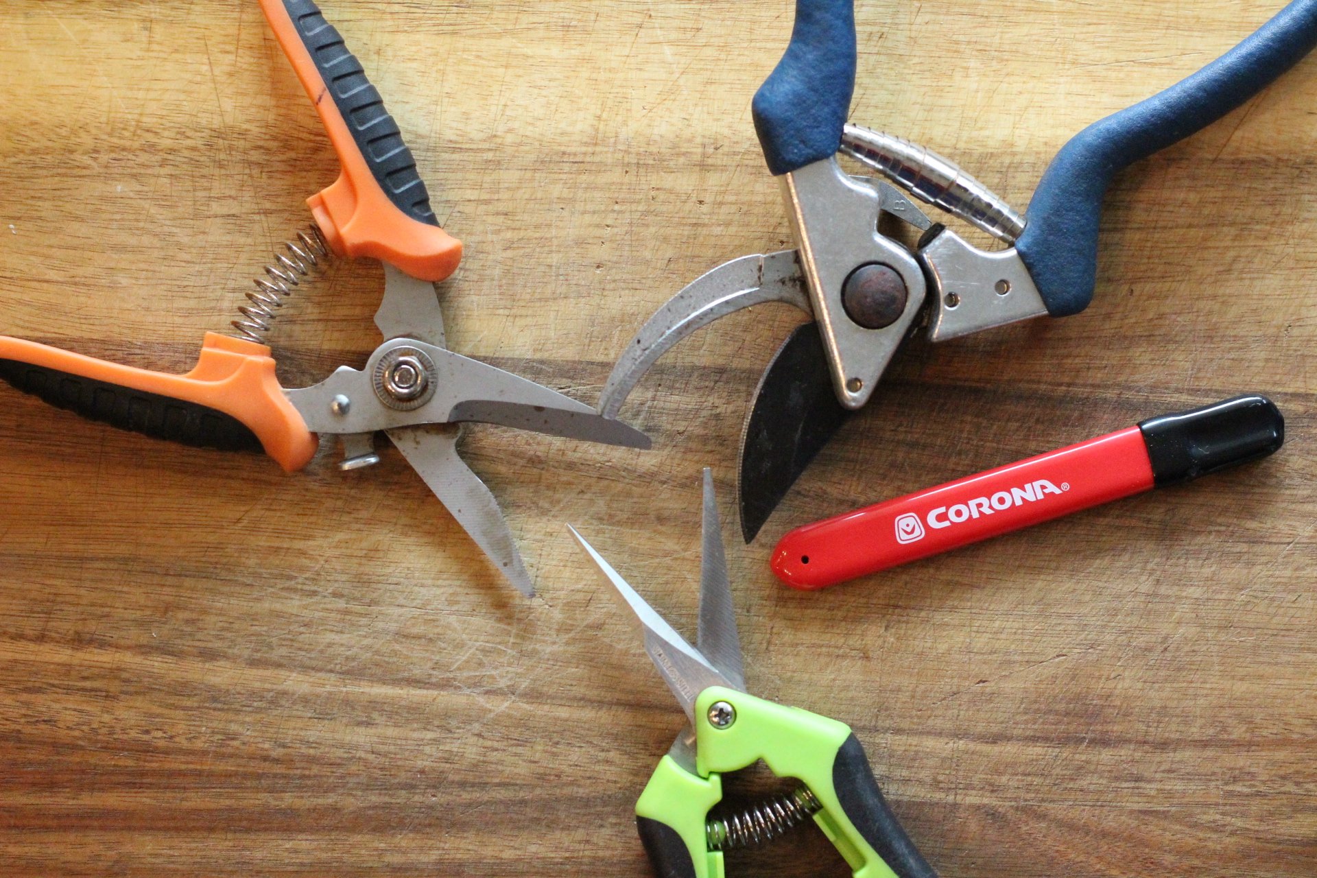 How to Prep Your Small Garden Tools for the Season - Dani's Midlife ...