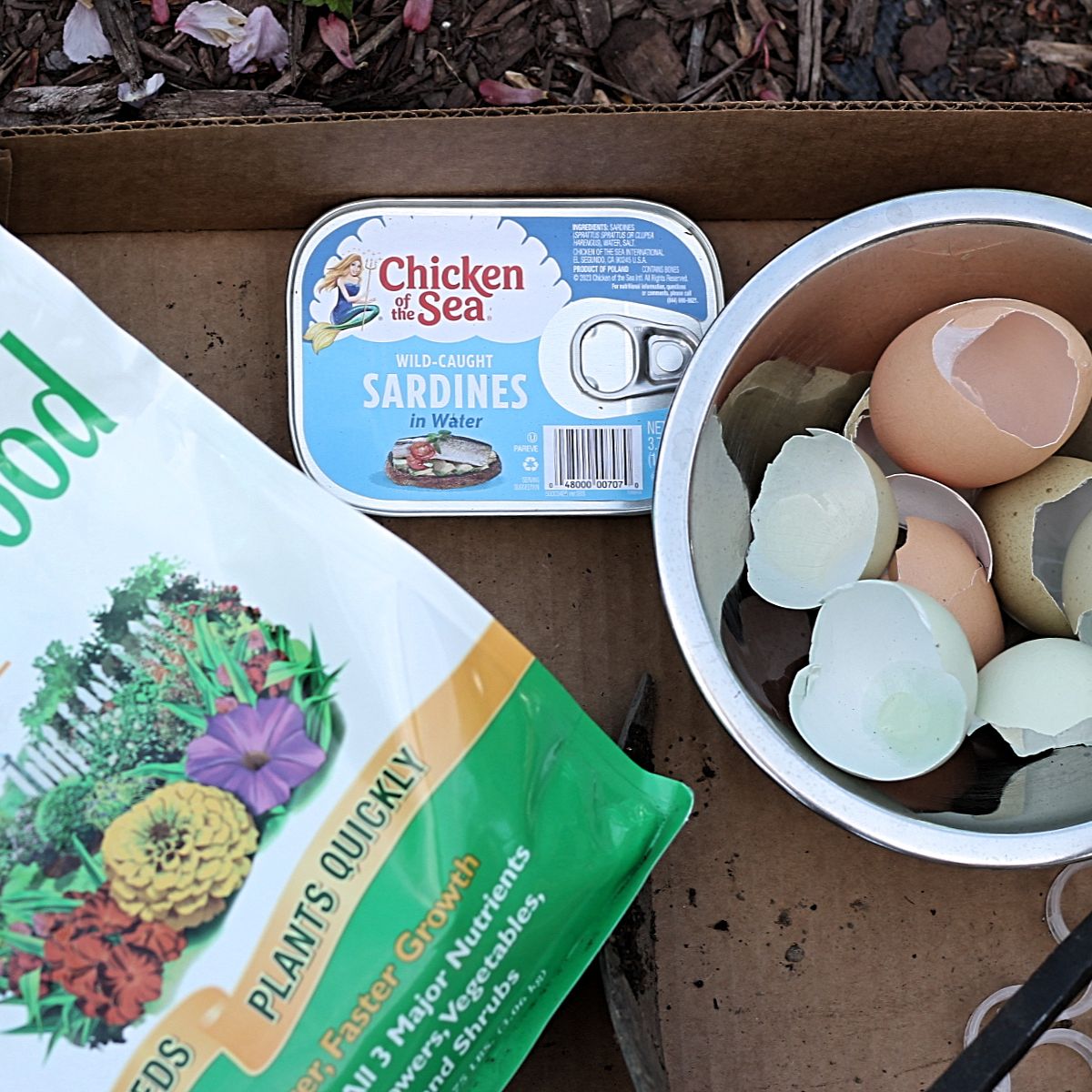 Spring into Action: A guide to preparing your garden for the season ...