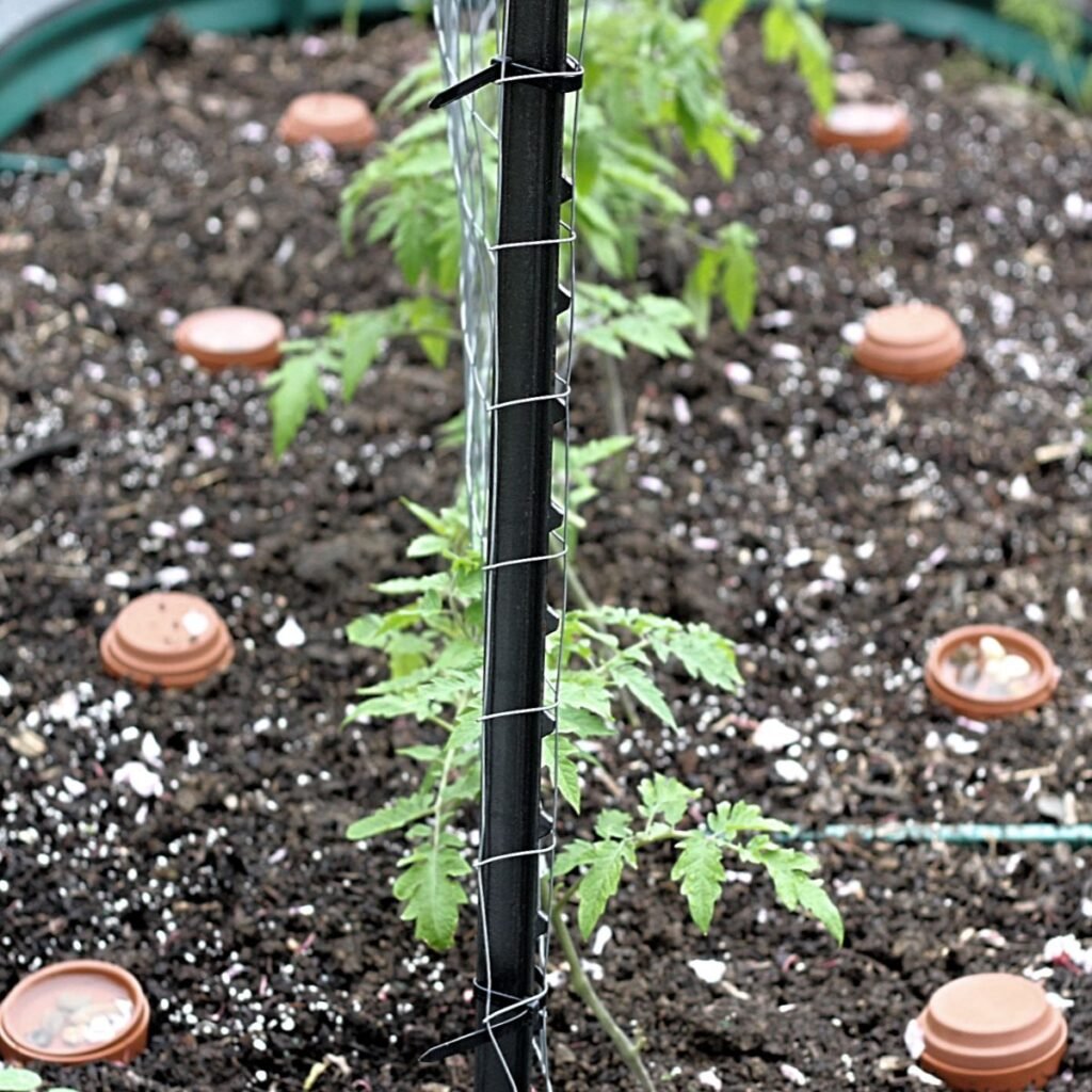 Restore the look of your old porch or deck using Cabot Deck Correct ...