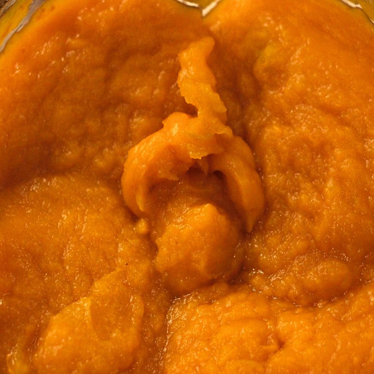 How to Make Pumpkin Purée from Your Decorative Pumpkins - Dani's ...